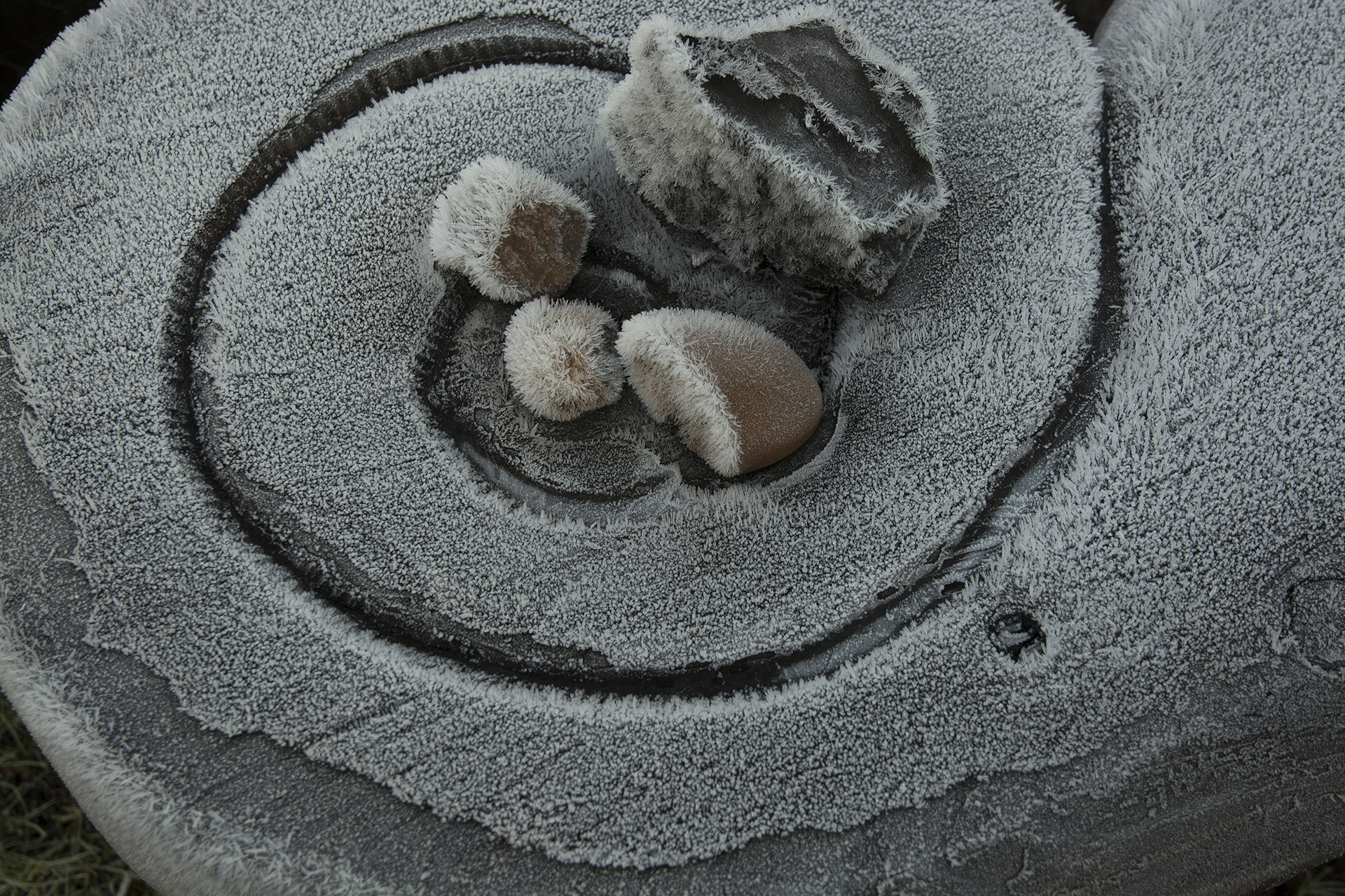 Journal - Alex Drozd