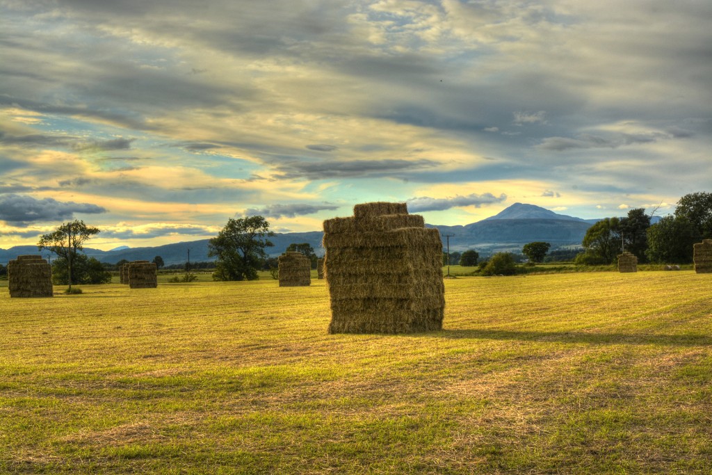 Journal | Alex Drozd