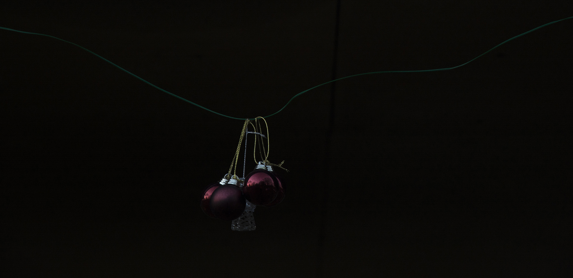 Martineau Gardens at the end of 2015 - Alex Drozd